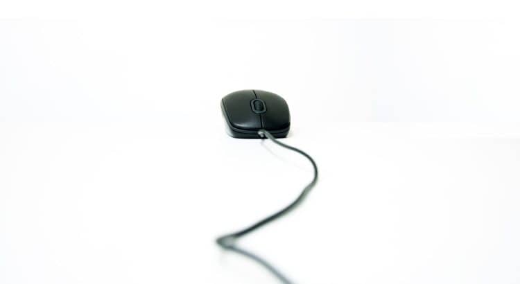 28. August - Der faszinierende Tag des Computer-Maus-Rennens